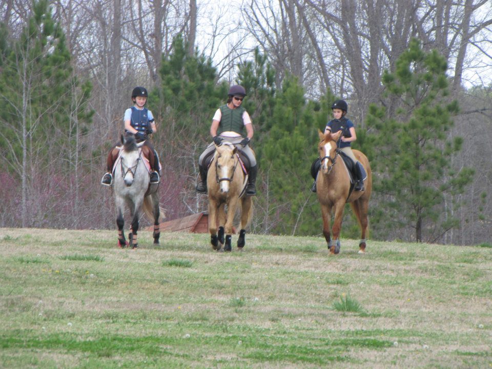 Riding Lessons | Rates – Oak View Farm