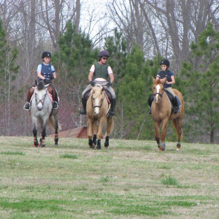 Riding Lessons | Rates – Oak View Farm