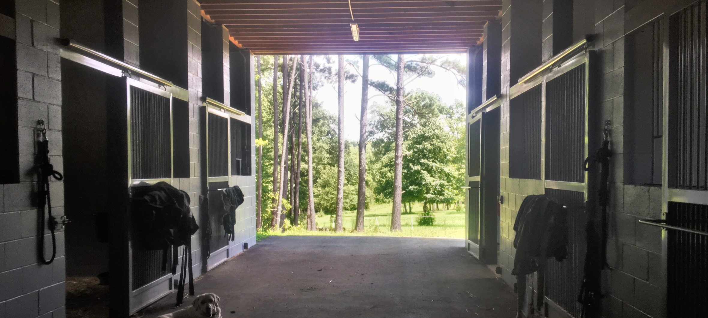 Boarding – Oak View Farm